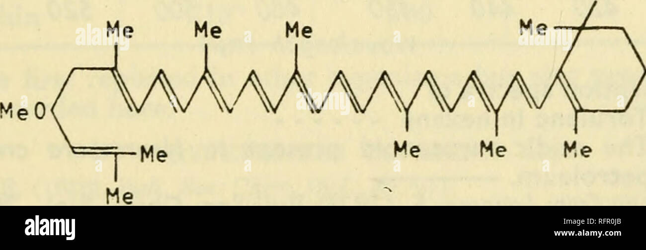 Neurosporene hi-res stock photography and images - Alamy