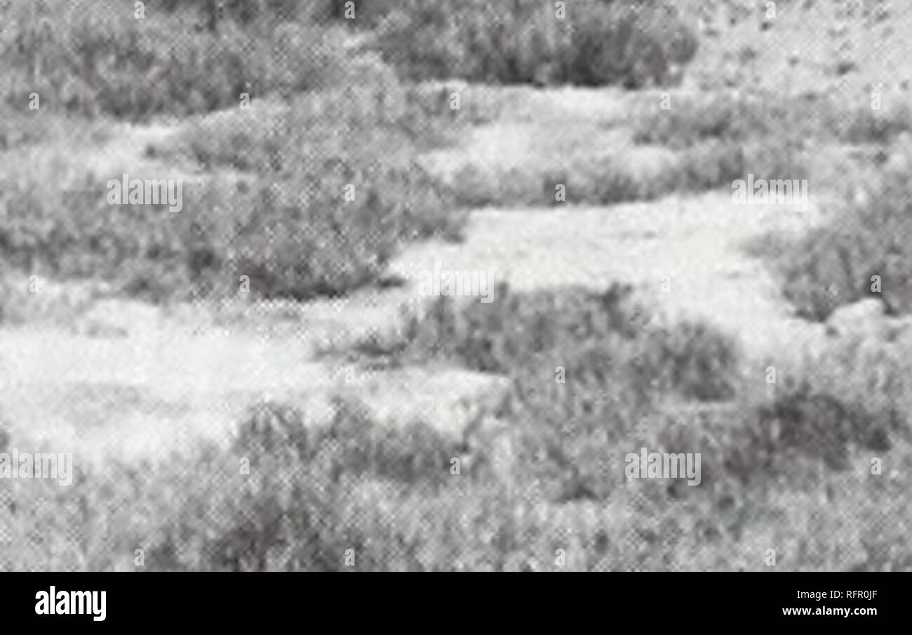 Vegetated berm hi-res stock photography and images - Alamy