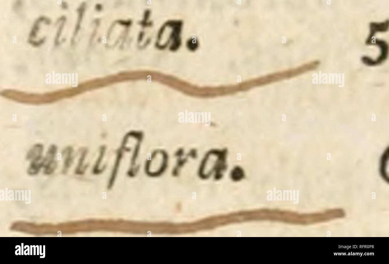 . Caroli a Linné eqvitis Systema vegetabilivm : secvndvm classes ...