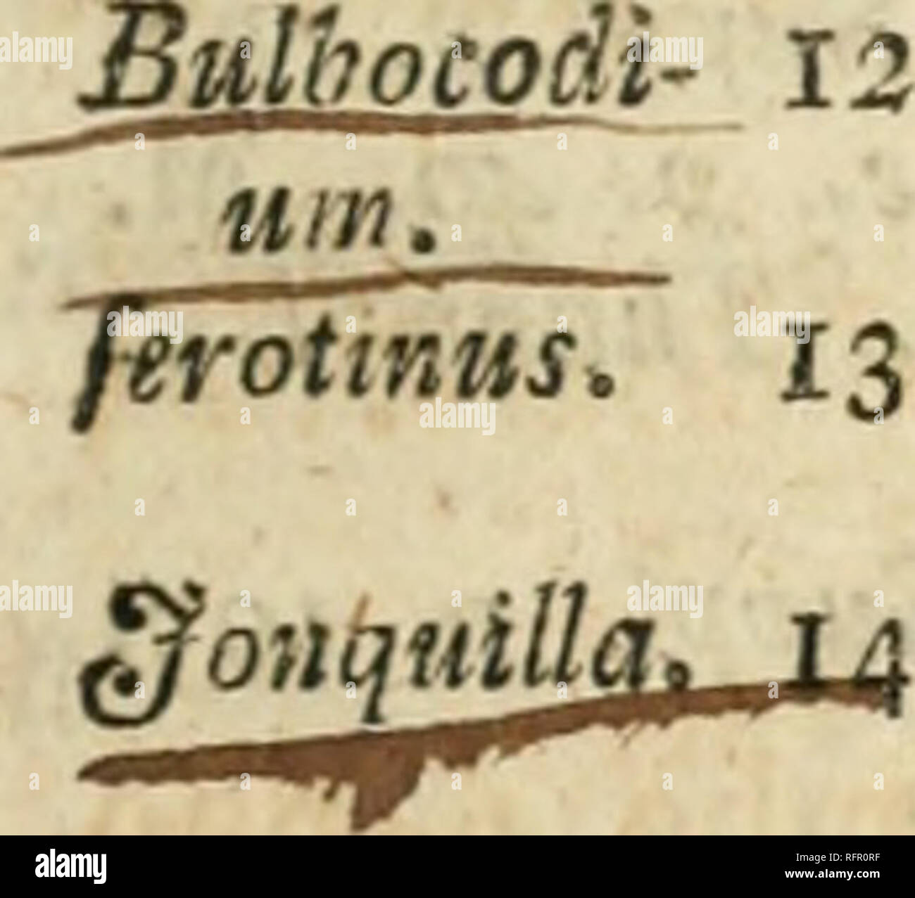 Patulo hi-res stock photography and images - Alamy