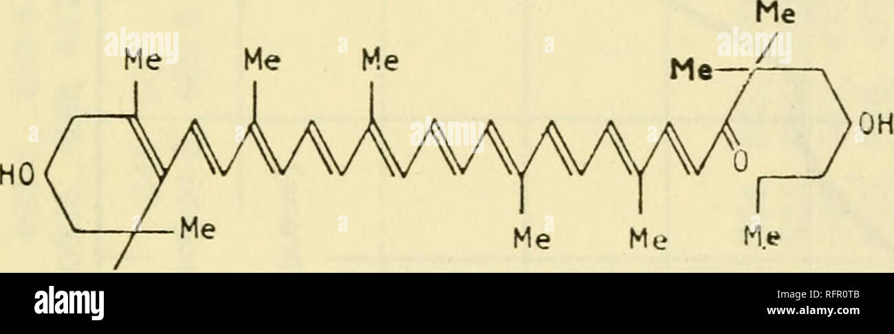capsanthin coloring pages