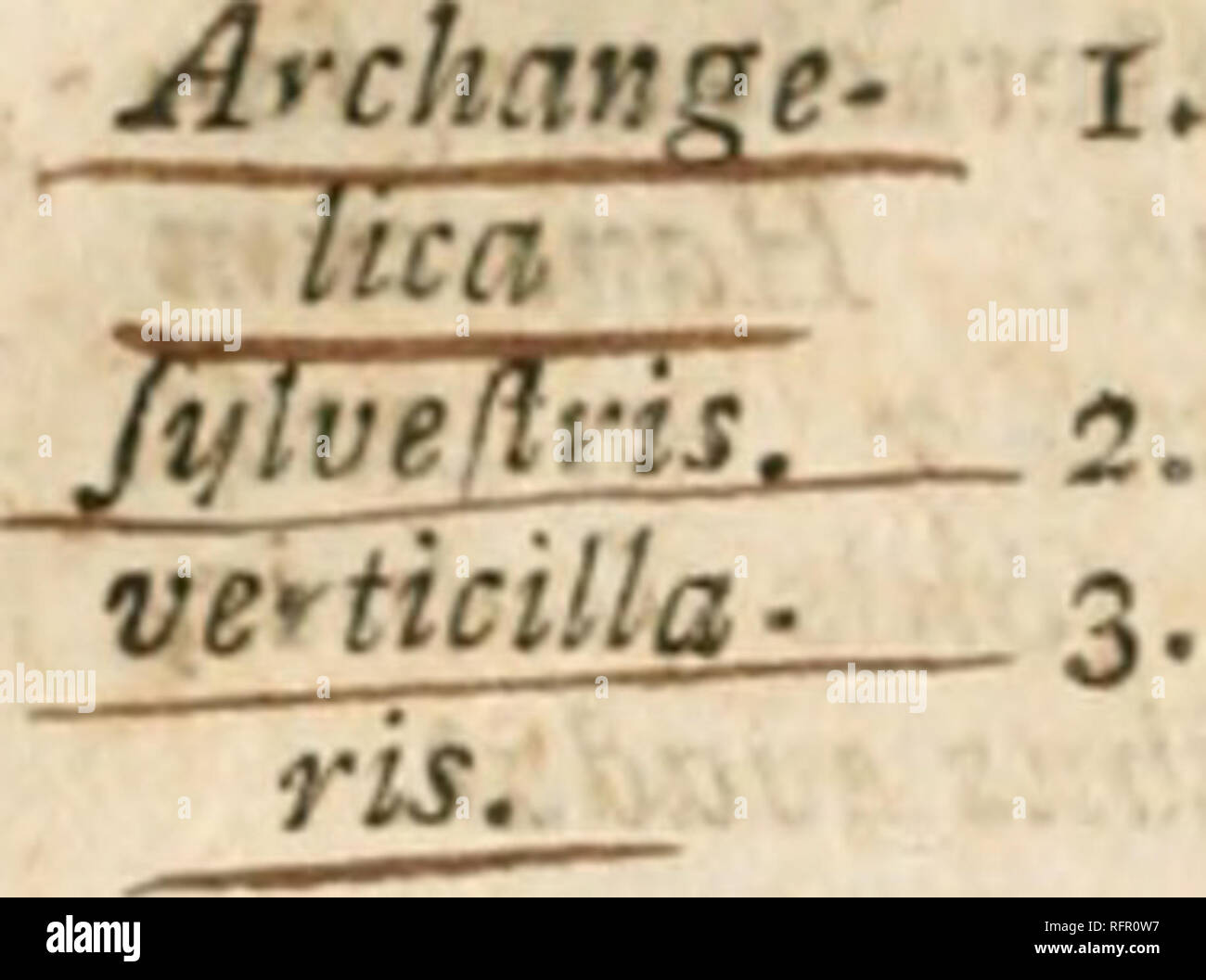 . Caroli a LinnÃ© eqvitis Systema vegetabilivm : secvndvm classes ...