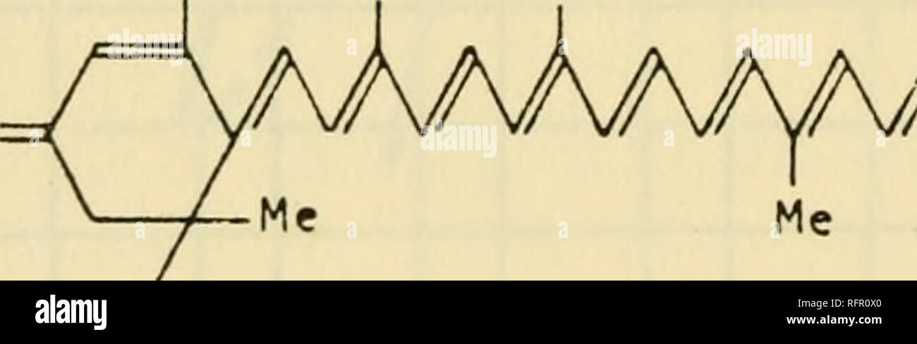 . Carotenoids, their comparative biochemistry. Carotenoids. CAROTENOIDS ...