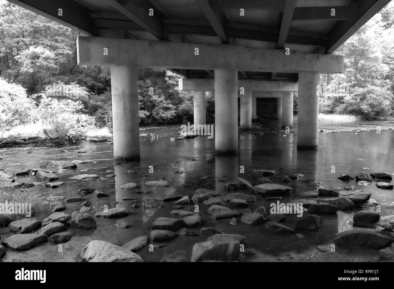 Infrared Bridge in the Forest Stock Photo - Alamy