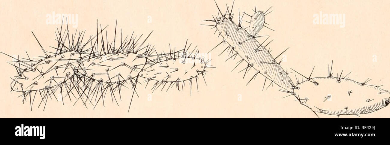 104 rojo hi-res stock photography and images - Alamy