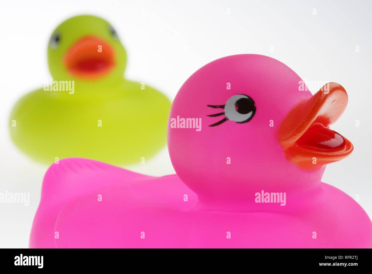 Violet ducks hi-res stock photography and images - Alamy
