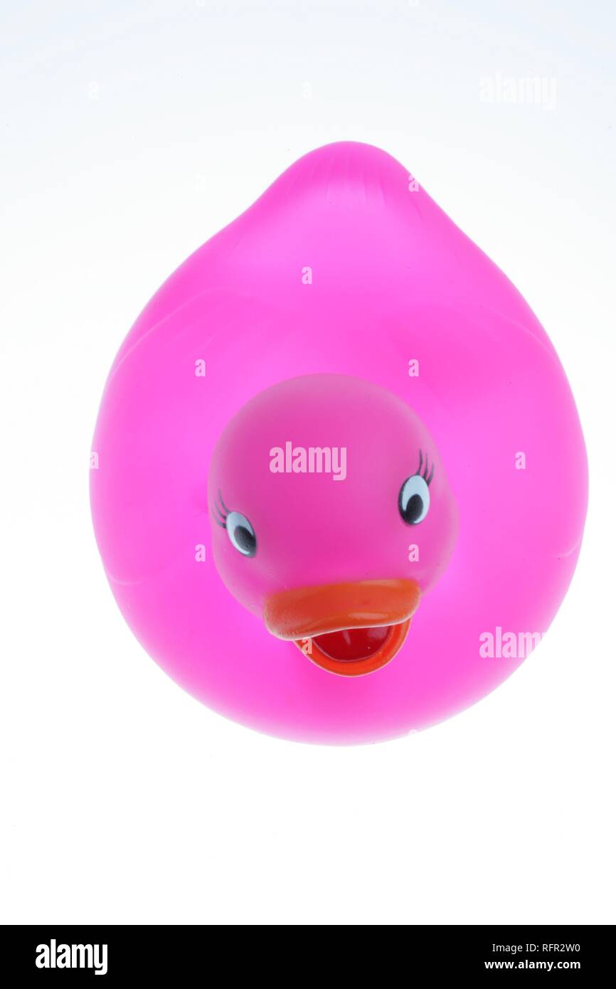 Violet ducks hi-res stock photography and images - Alamy