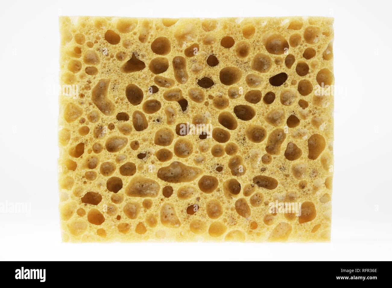 Sponge structures hi-res stock photography and images - Alamy