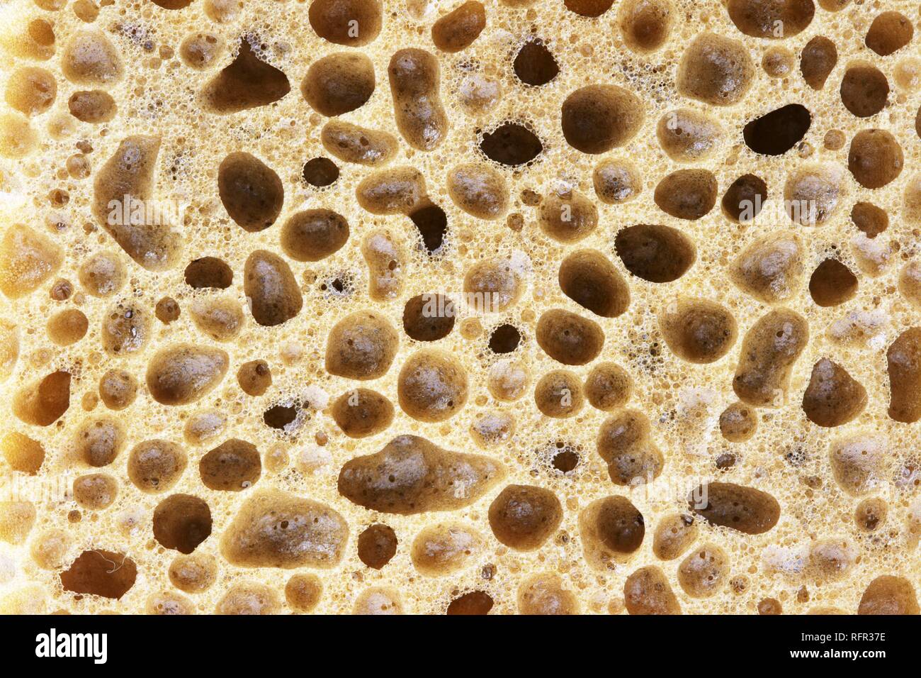 Sponge structures hi-res stock photography and images - Alamy