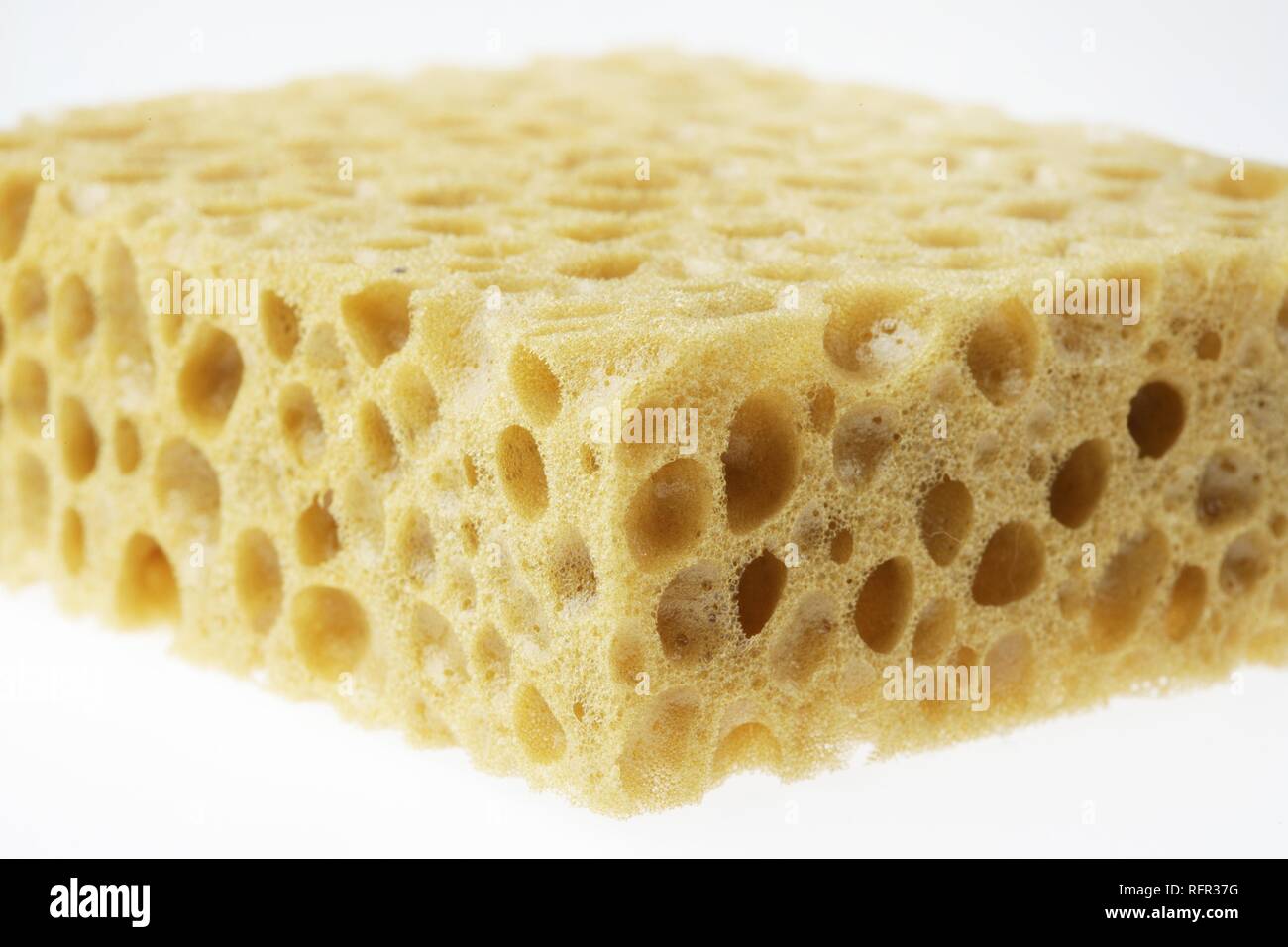 Sponge structures hi-res stock photography and images - Alamy