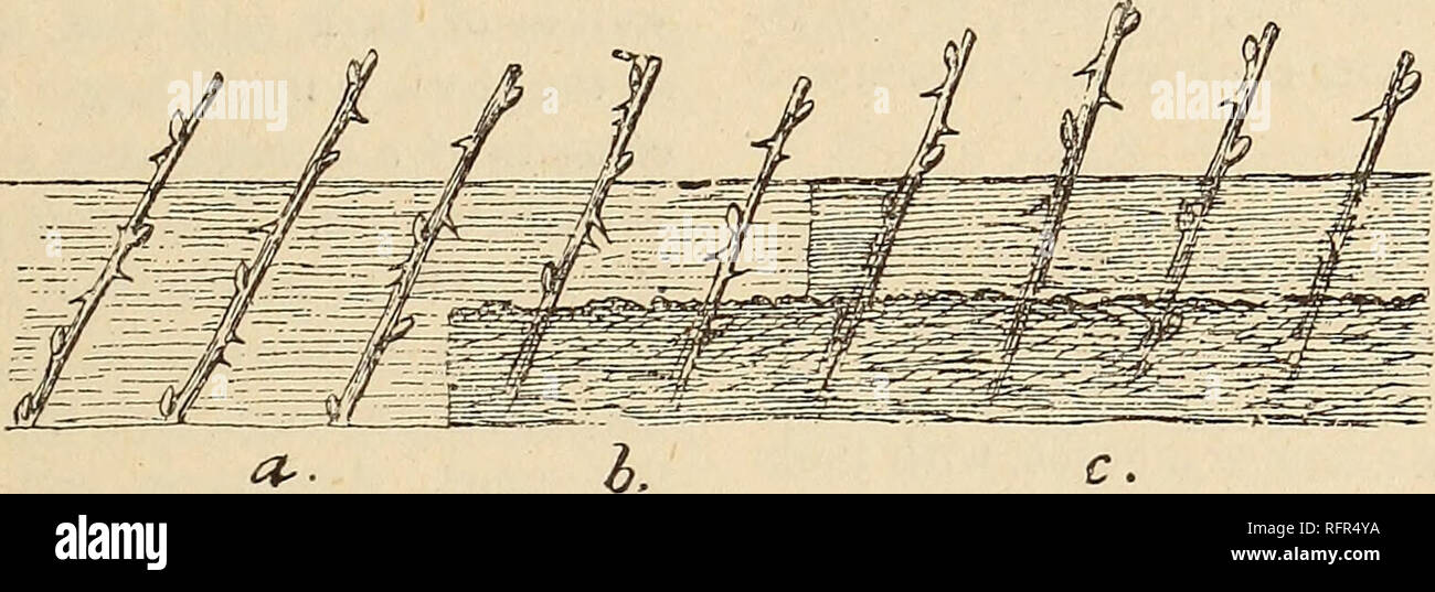 On rope ground cover hi-res stock photography and images - Alamy