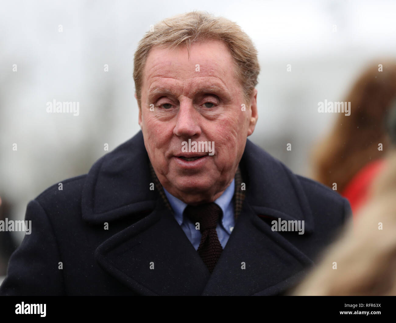 Harry redknapp racing hi-res stock photography and images - Alamy