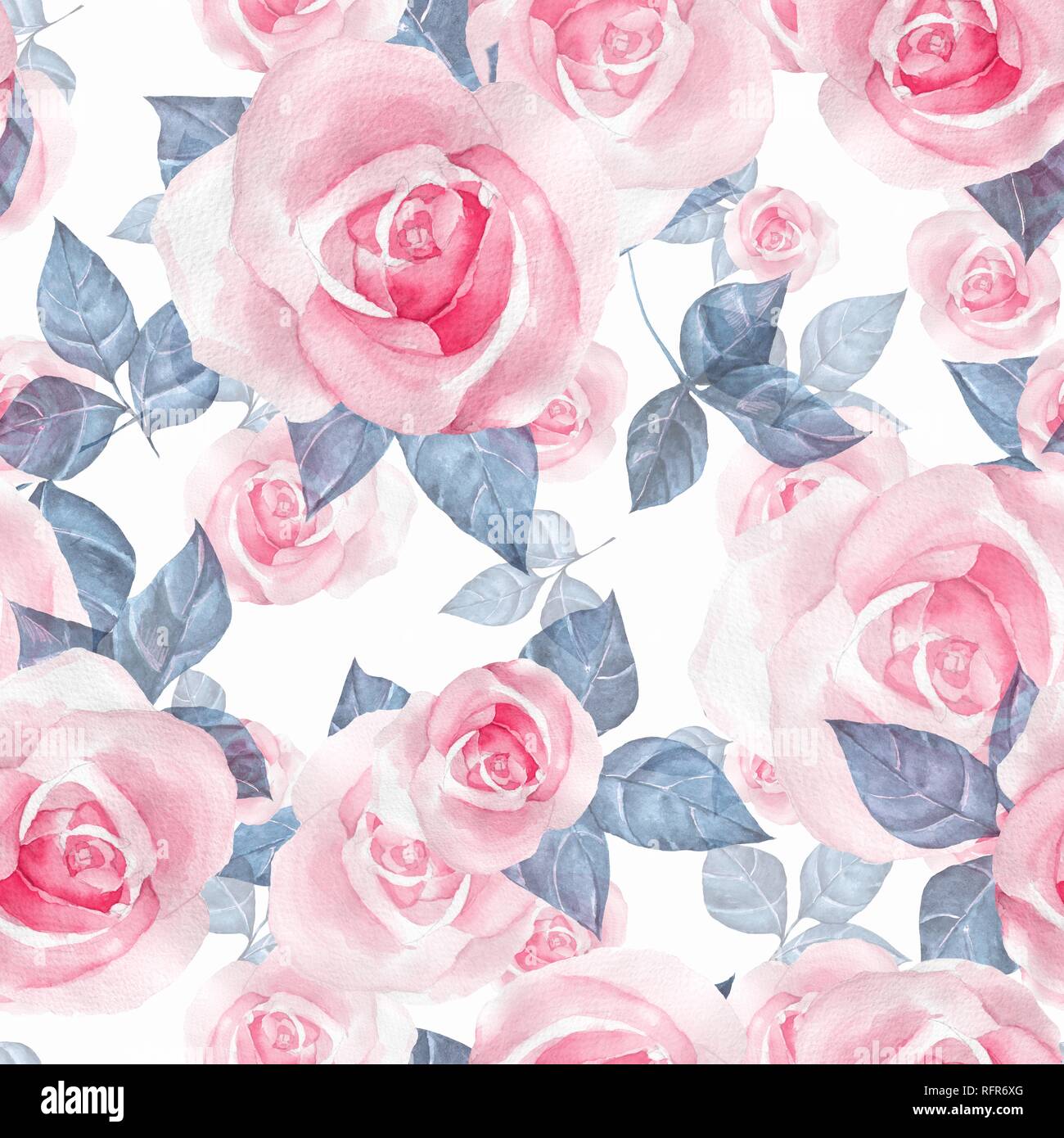 Delicate botanical drawing of hi-res stock photography and images - Alamy