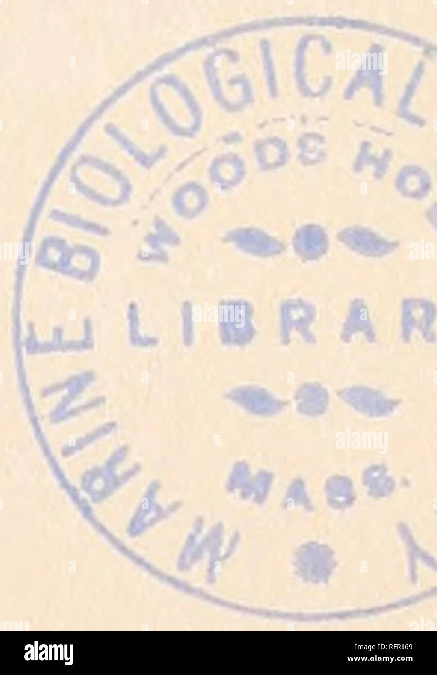 . Carnegie Institution of Washington publication. SELENICEREUS. KEY TO ...