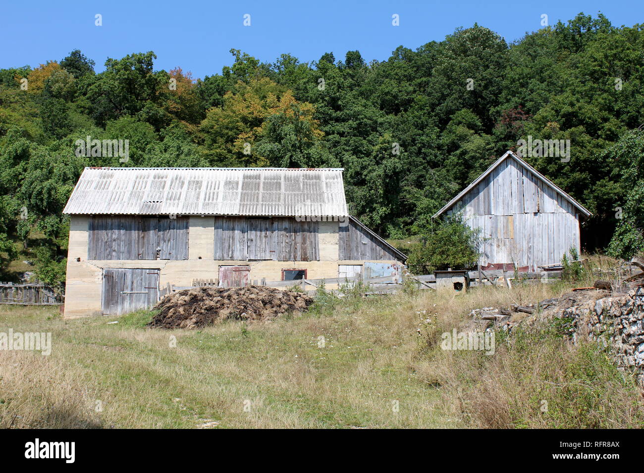 Backyard barn structures with dilapidated wooden boards and roof tiles surrounded with high ...