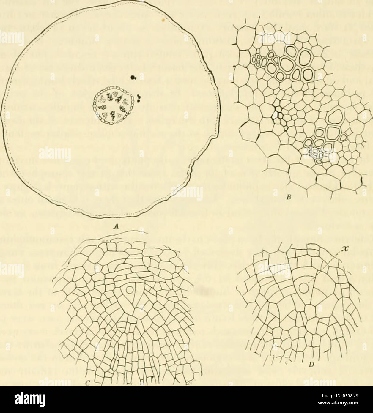 . Carnegie Institution of Washington publication. 108 THE ...
