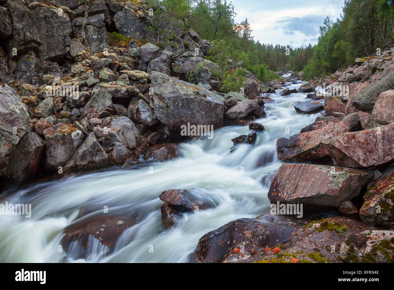 Rapids on small forest stream in Telemark County, Norway, Scandinavia ...