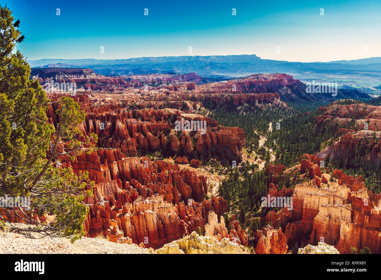 View down to Bryce Canyon formation in Utah Stock Photo - Alamy