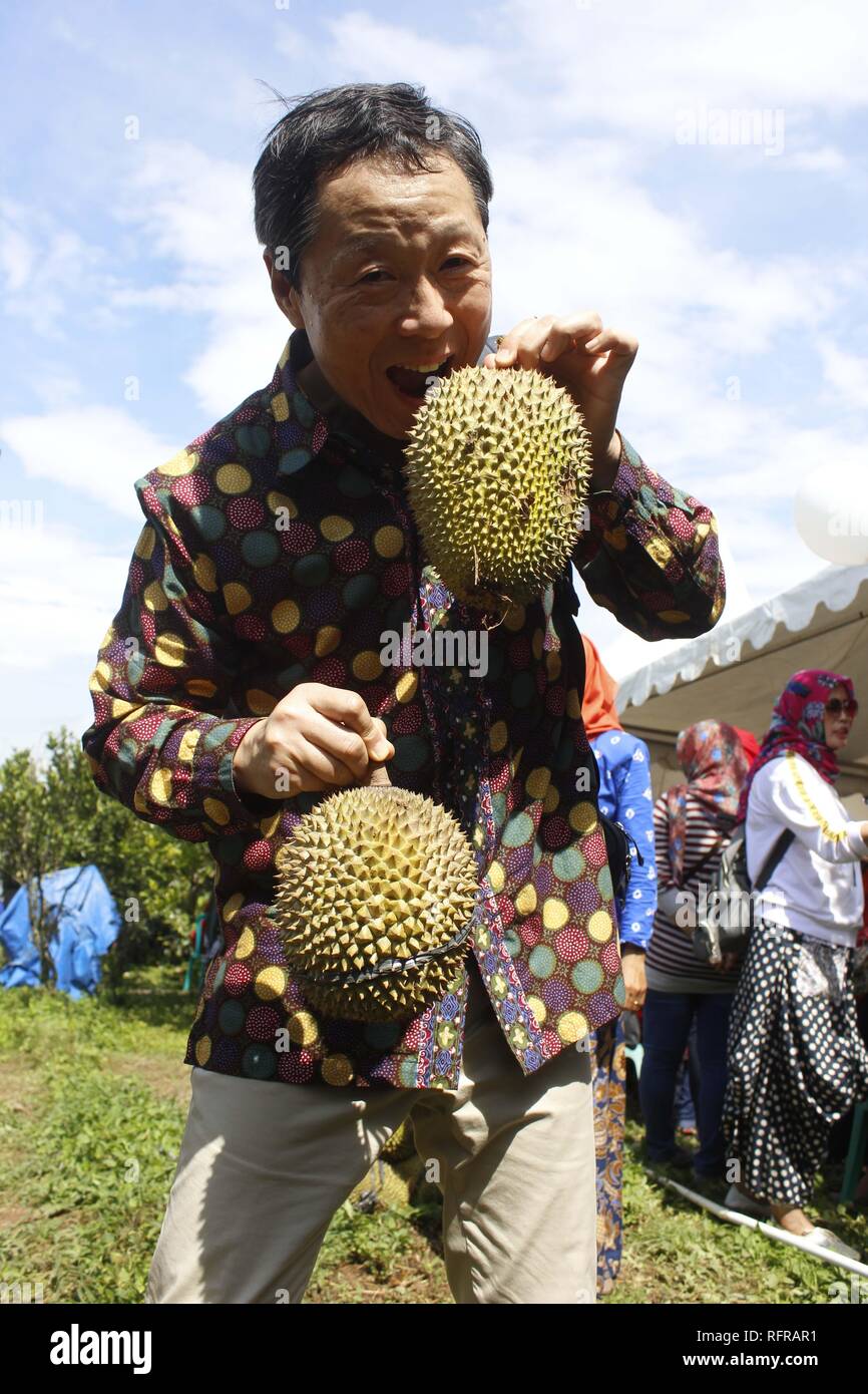 Durian fruit and tokyo hi-res stock photography and images - Alamy