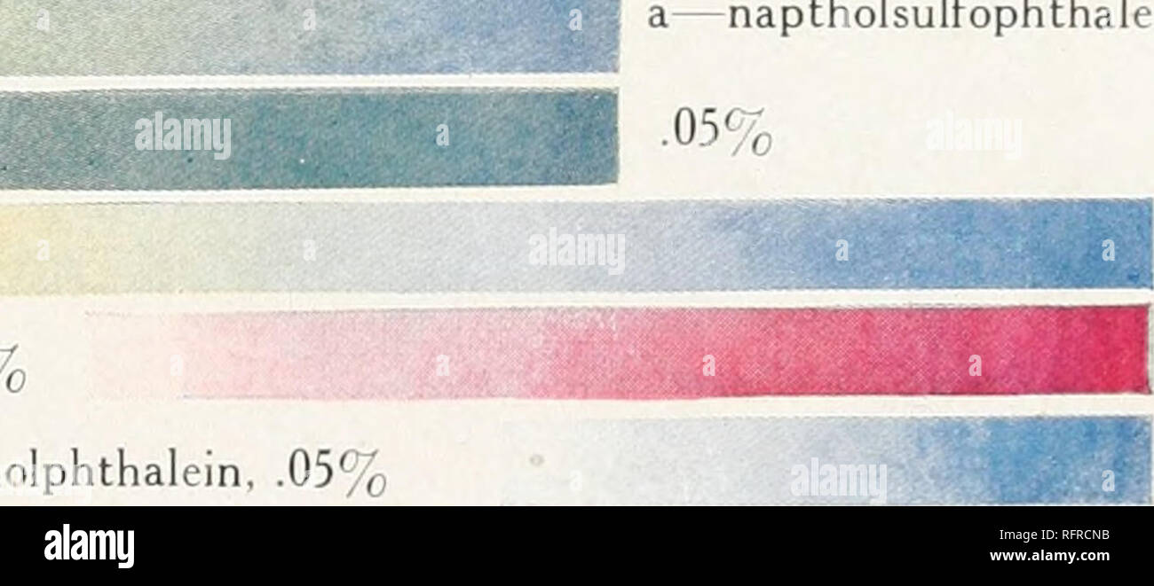 Phenolphthalein Scale