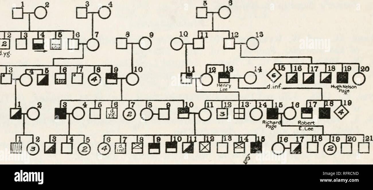 Thomas ap catesby jones hi-res stock photography and images - Alamy
