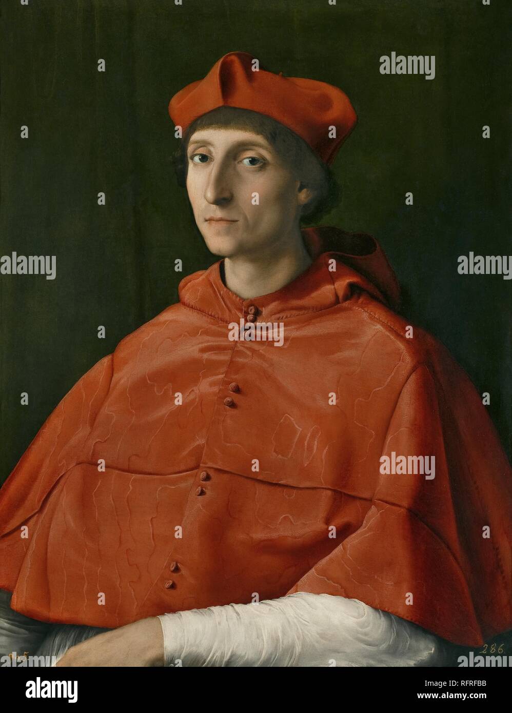 Handsome cardinal hi-res stock photography and images - Alamy