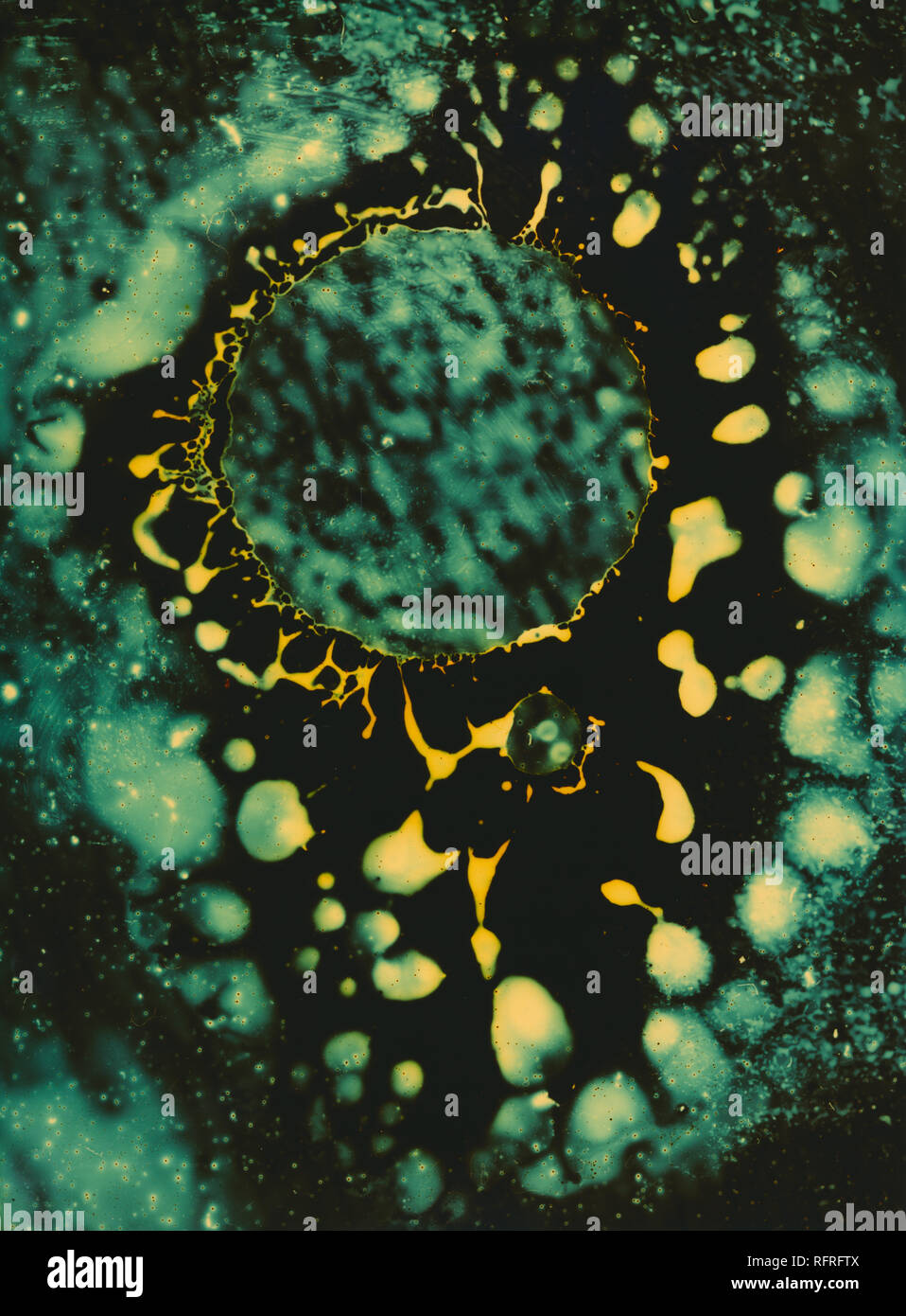 Fractal design texture wallpaper, abstract illustration Stock Photo - Alamy