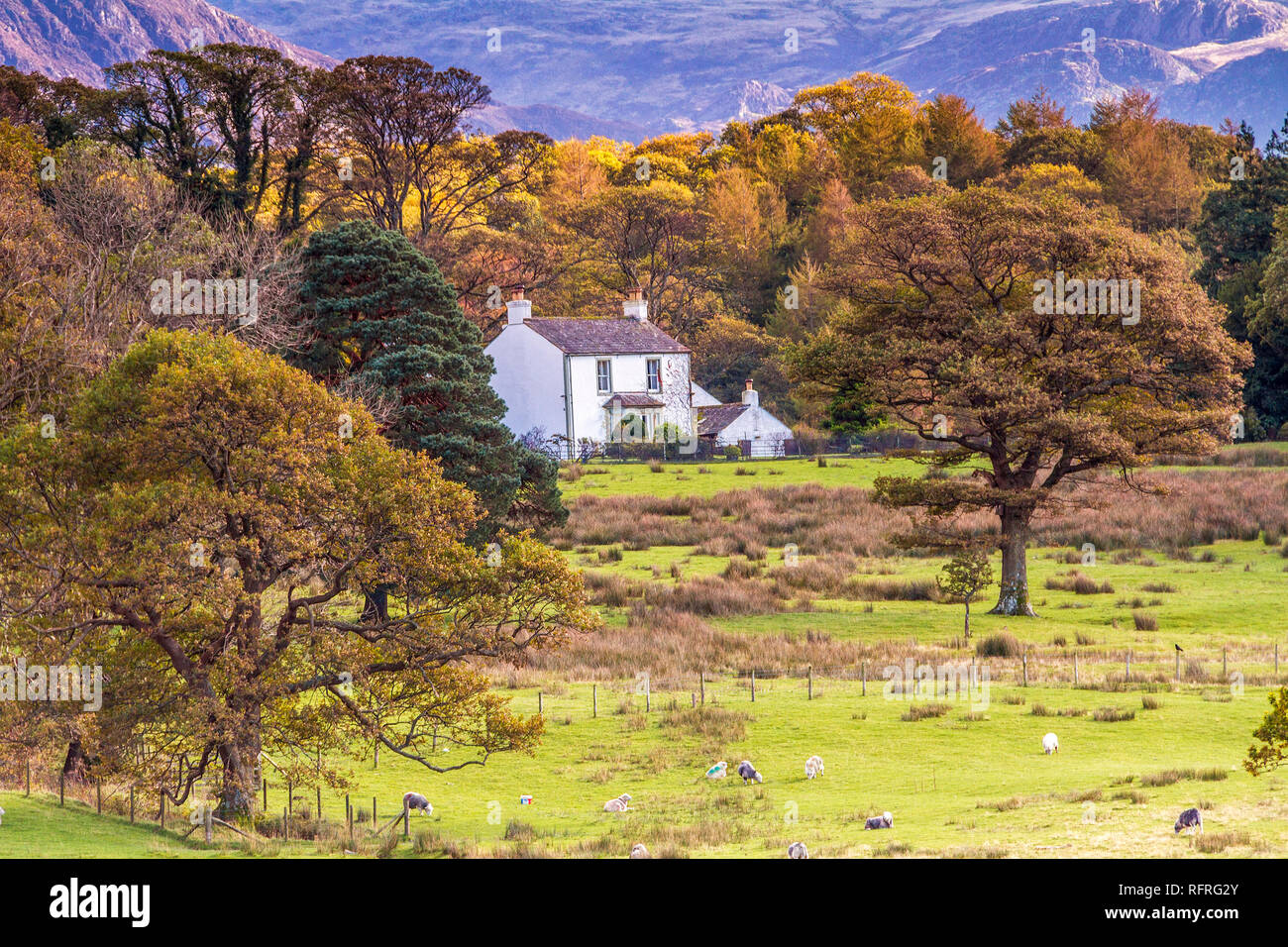 Country Scene Buttermere, Lake District, Cumbria, UK Stock Photo - Alamy