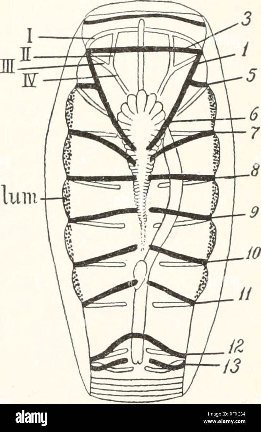. Carnegie Institution of Washington publication. PART III —THE ...