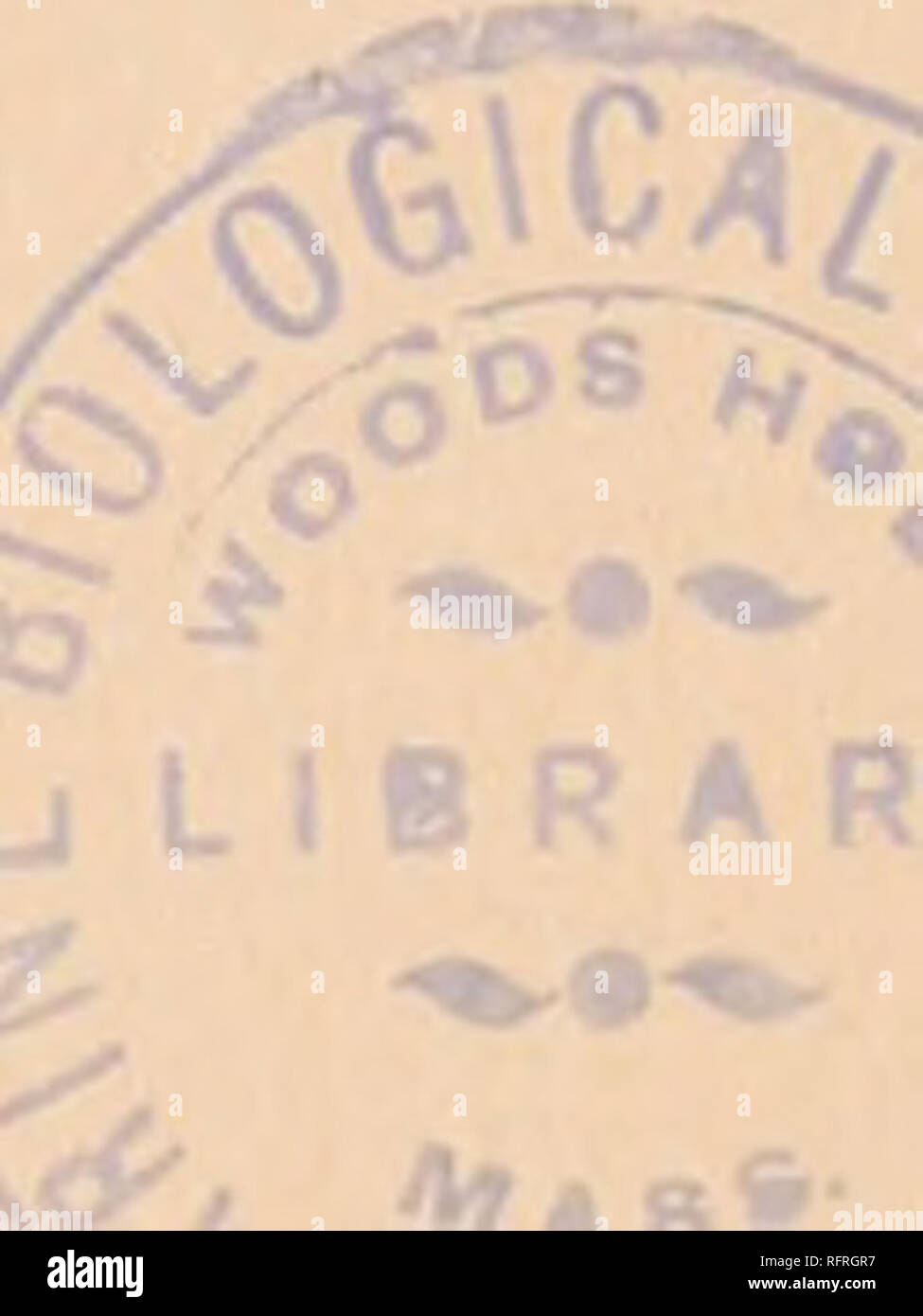 . Carnegie Institution of Washington publication. FIG. 2.—Buettneria ...