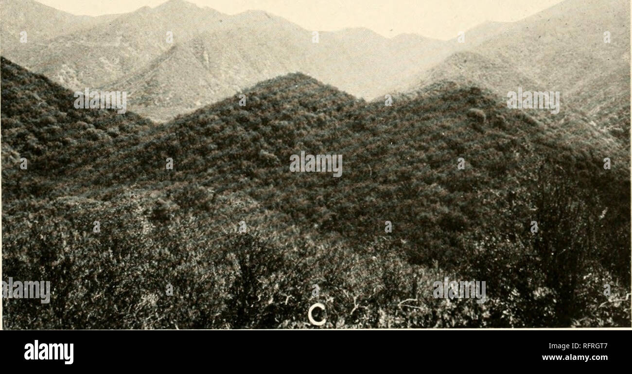 Ai ai hot springs hi-res stock photography and images - Alamy