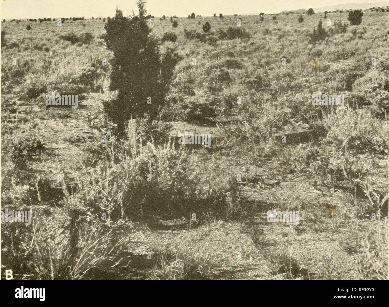 Uncompahgre plateau hi-res stock photography and images - Alamy