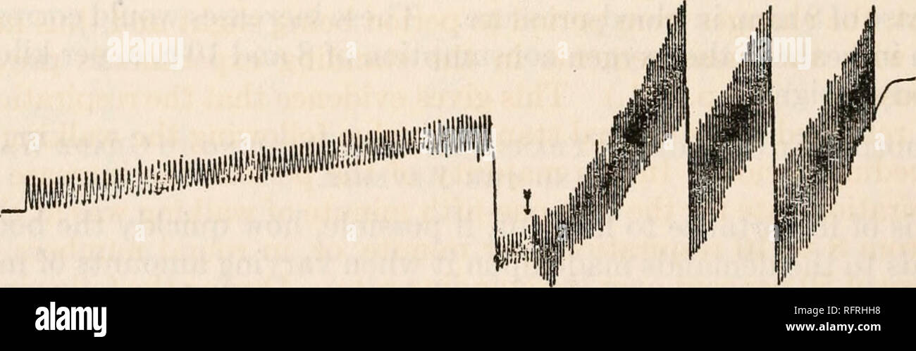. Carnegie Institution of Washington publication. . FIG. 38.—Typical ...