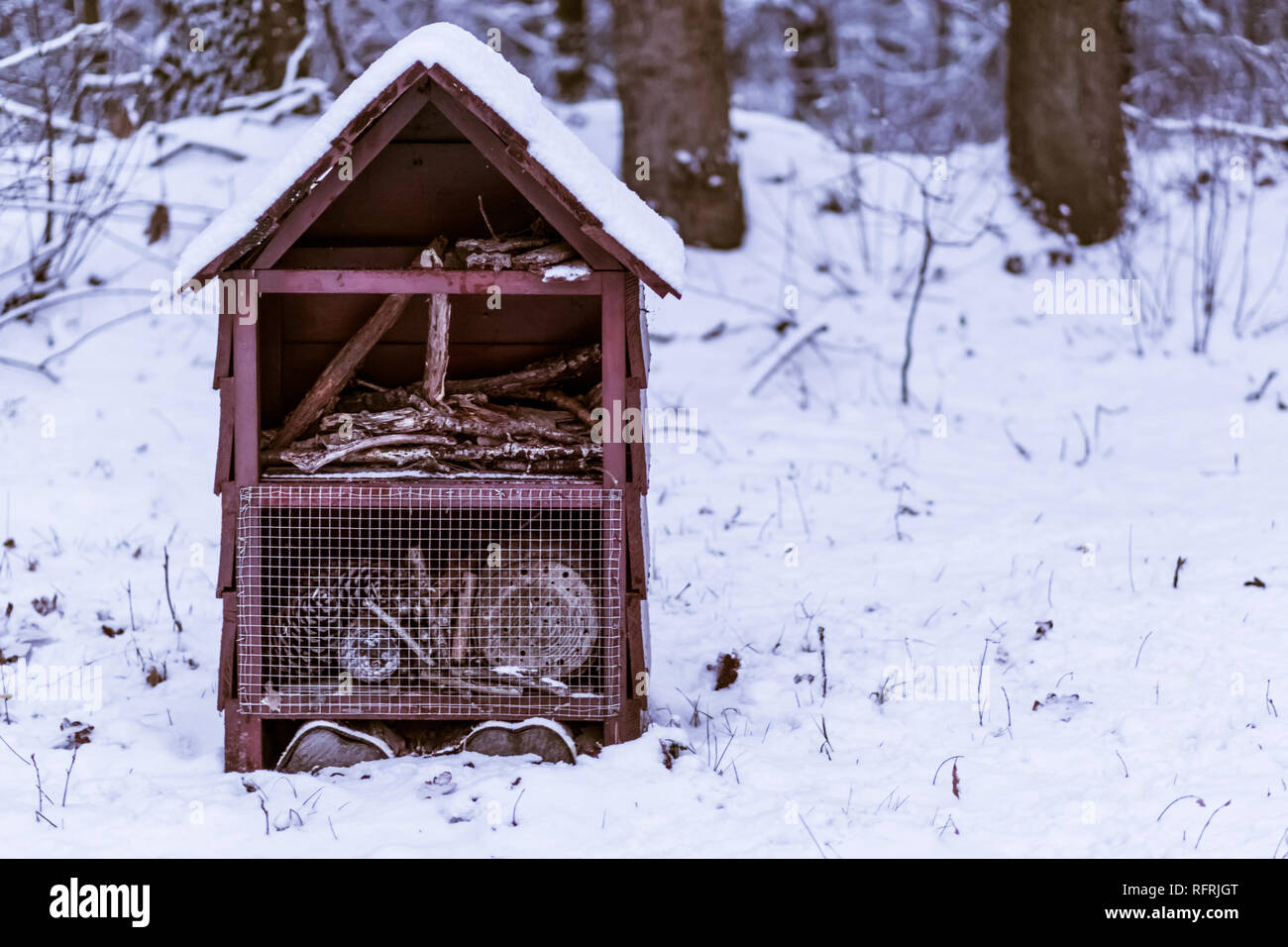 Bug shack for insects hi-res stock photography and images - Alamy