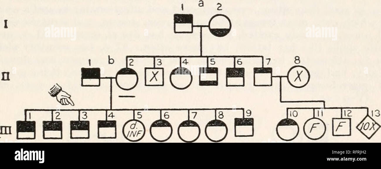 . Carnegie Institution of Washington publication. APPENDIX. PEDIGREE ...