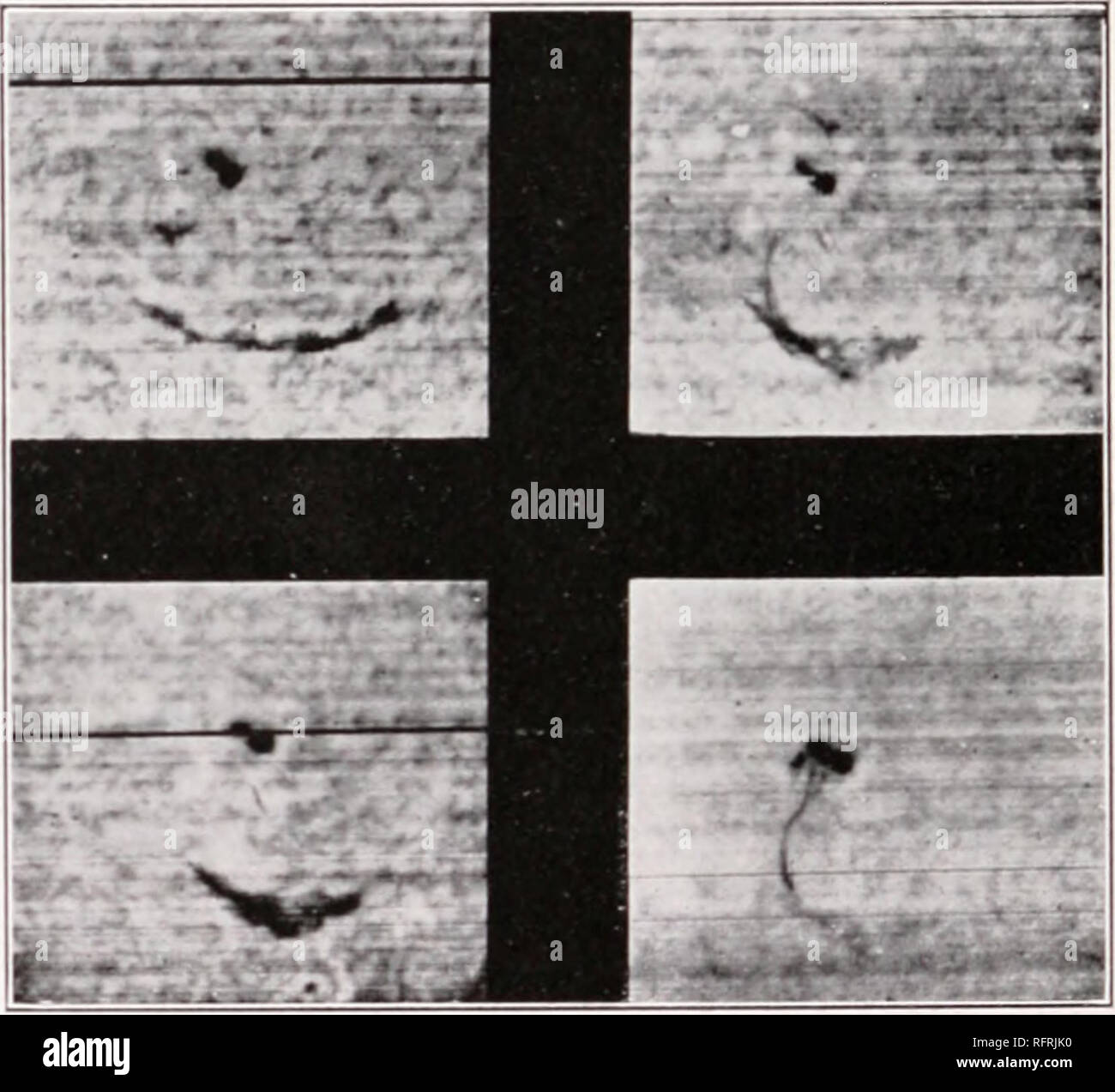 Spectroheliograph hi-res stock photography and images - Alamy