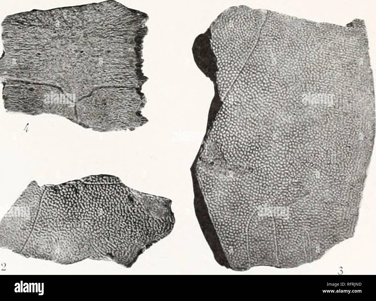 C obscura hi-res stock photography and images - Alamy