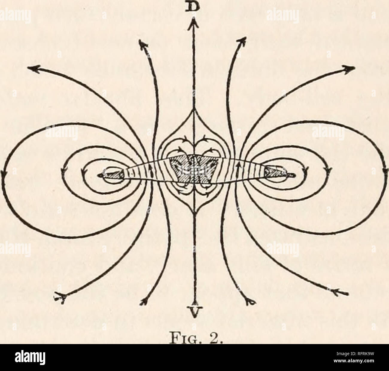 Neuraxon hi-res stock photography and images - Alamy
