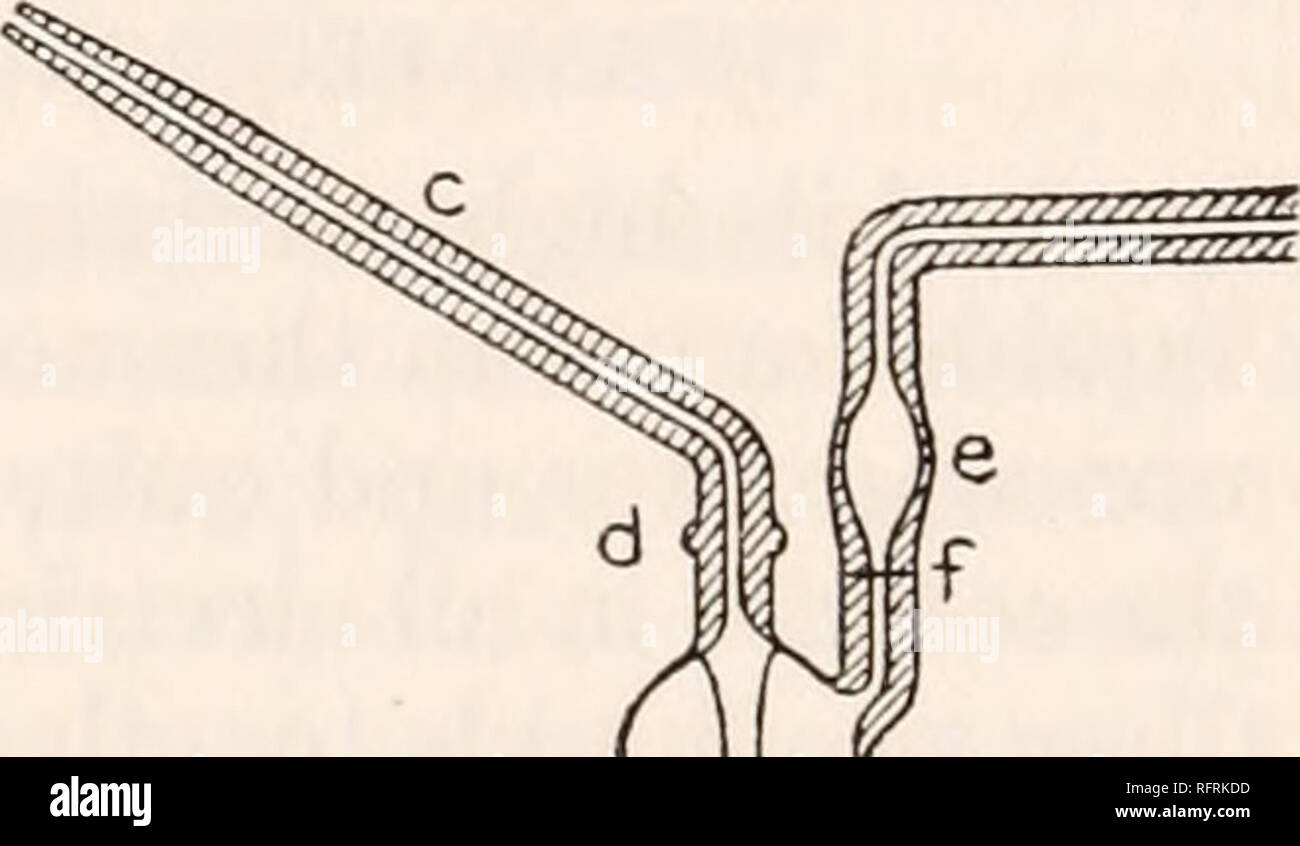 Capillary Method High Resolution Stock Photography and Images - Alamy