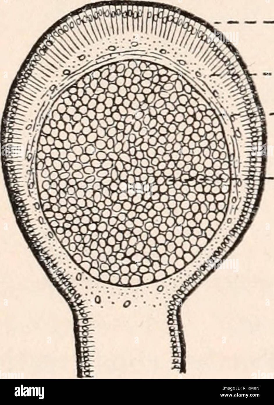 Cylindrical bodies hi-res stock photography and images - Alamy