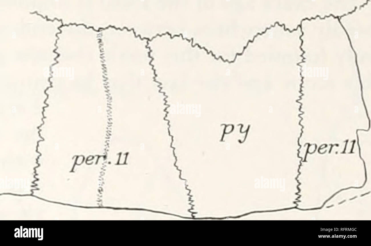 Articulate border hi-res stock photography and images - Alamy