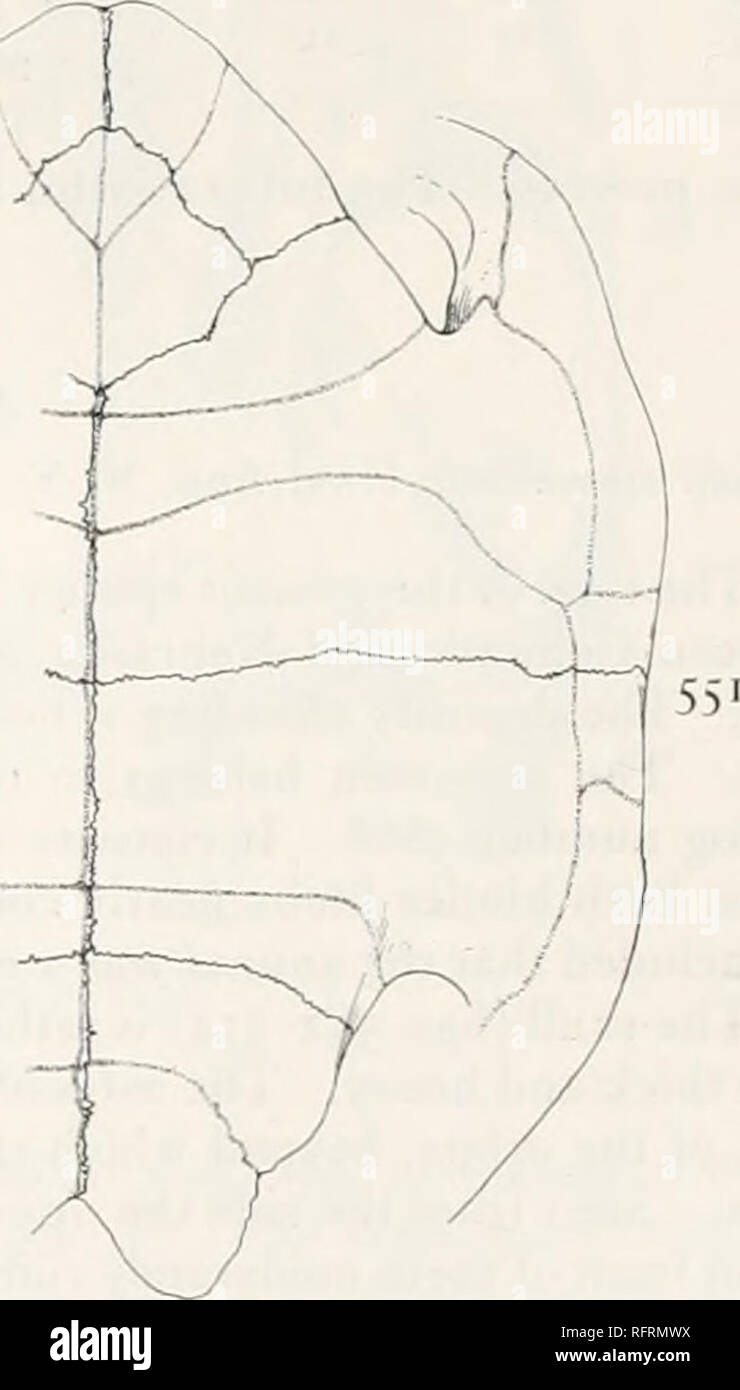 . Carnegie Institution of Washington publication. . Figs. 550 AND 551 ...