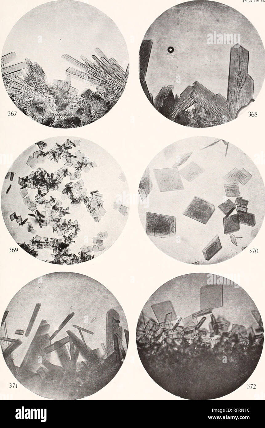 Elongated crystal plate hi-res stock photography and images - Alamy