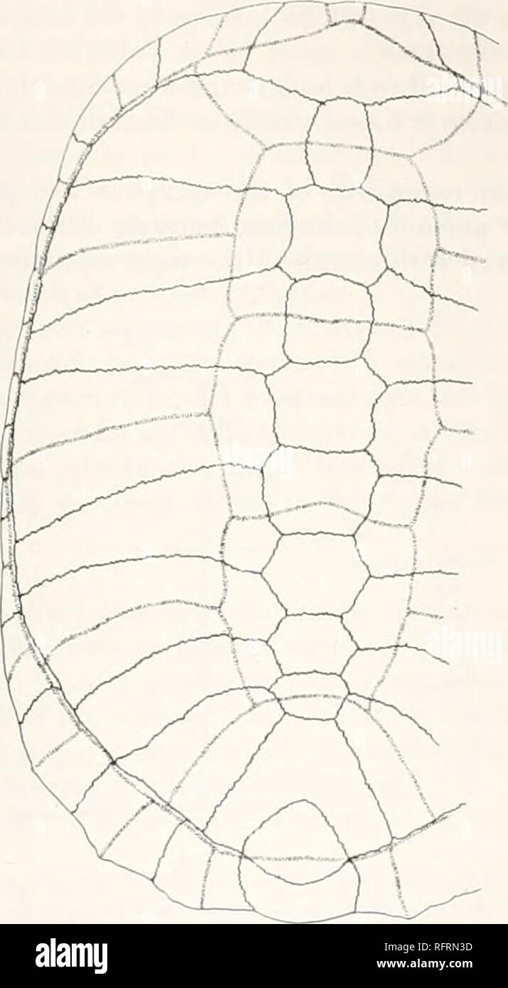 Width 395 mm hi-res stock photography and images - Alamy