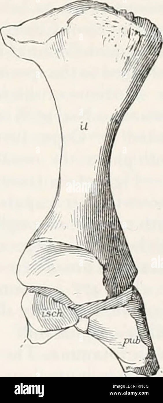 Width 478 mm hi-res stock photography and images - Alamy