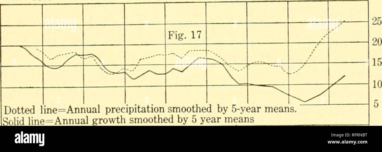 Calculating the age of a tree hi-res stock photography and images - Alamy