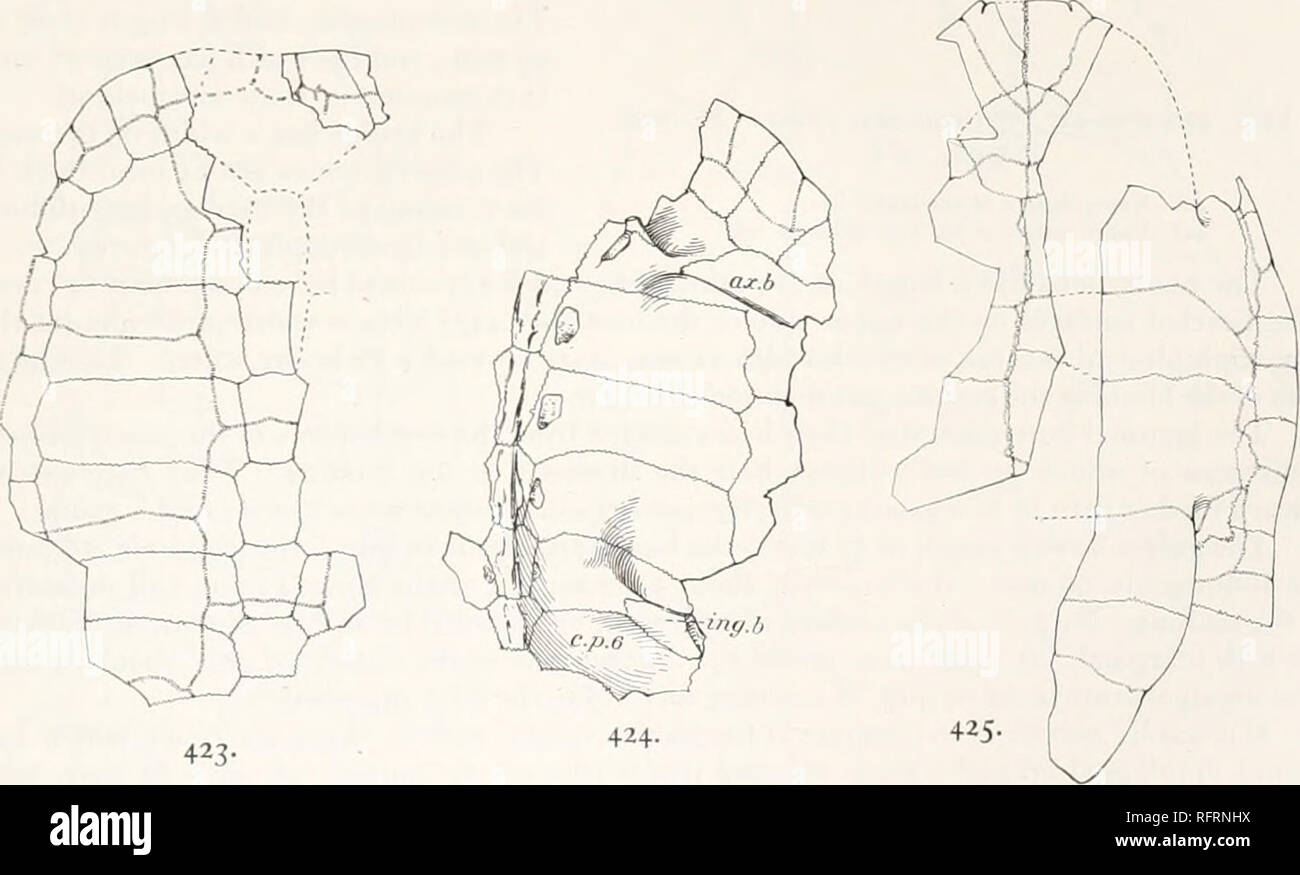 325 mm thickness hi-res stock photography and images - Alamy