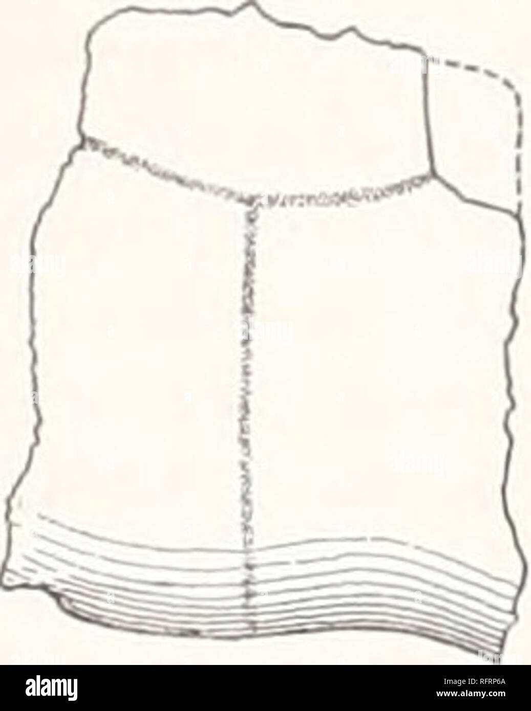 . Carnegie Institution of Washington publication. . 2J0 FOSSIL TURTLES ...