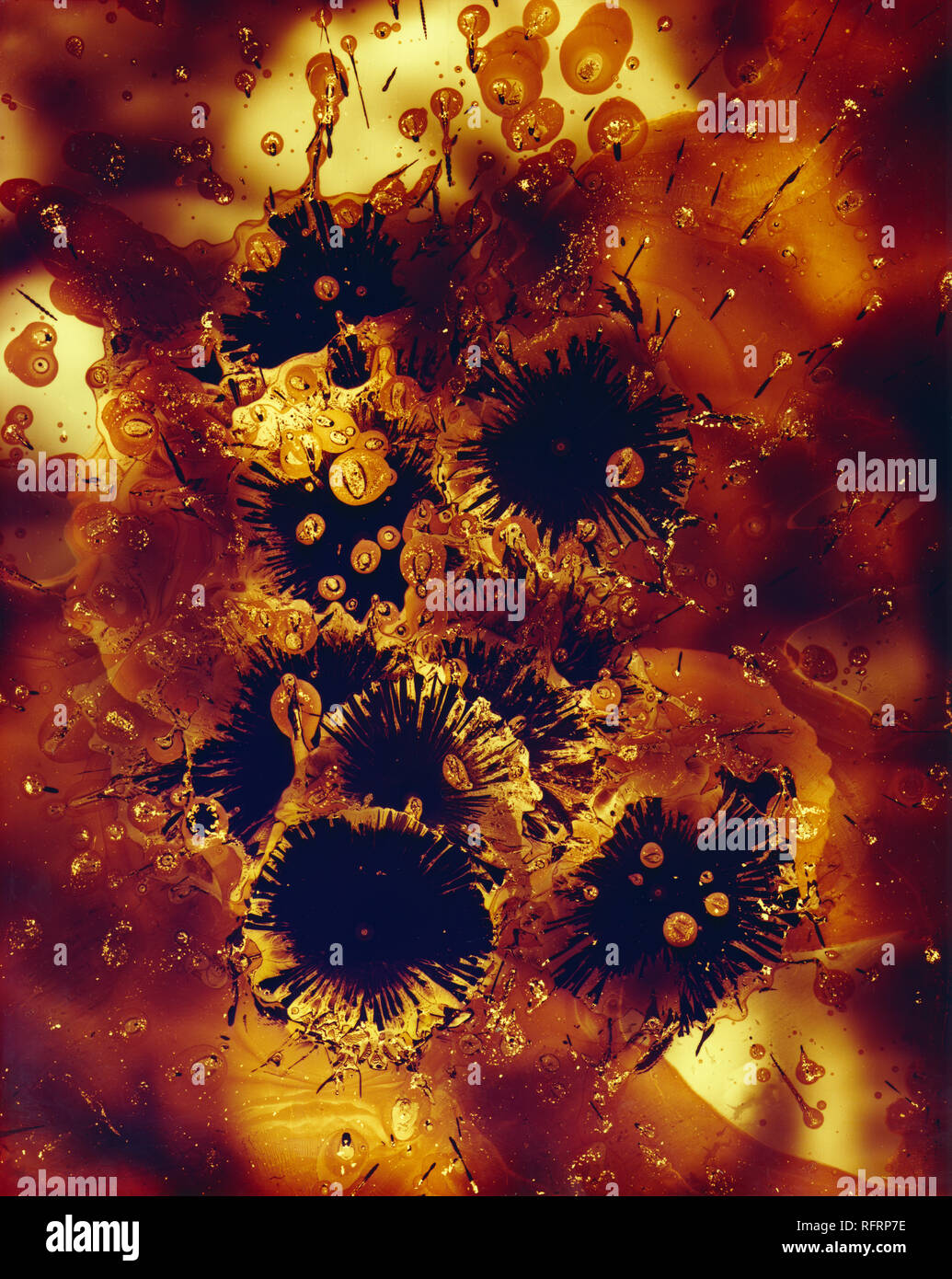 Fractal design texture wallpaper, abstract illustration Stock Photo - Alamy