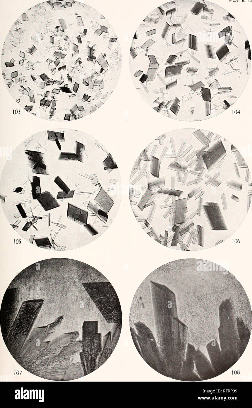 . Carnegie Institution of Washington publication. PLATE 18. 107 108 103 ...